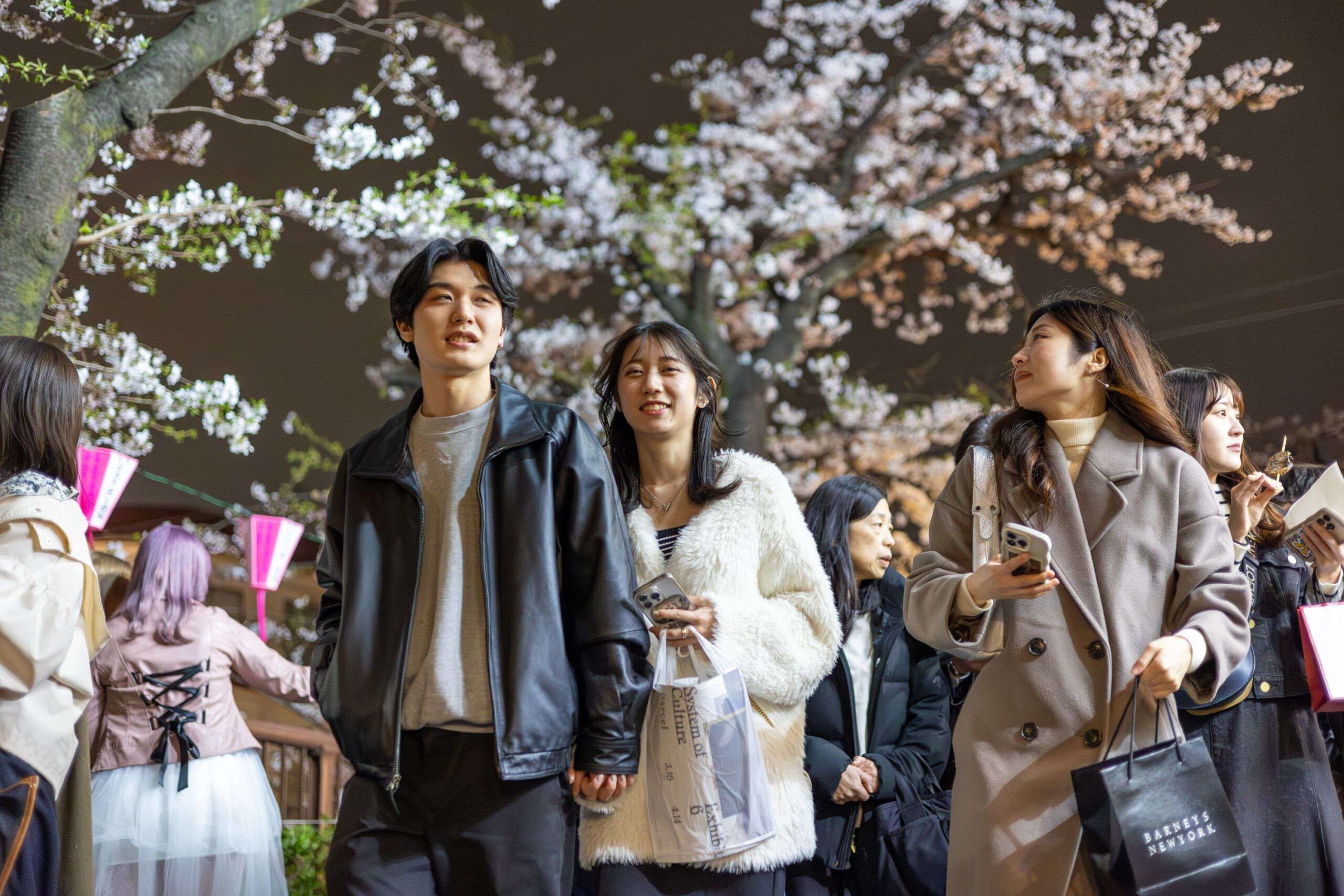 Going to live in Japan: advantages, obstacles and disadvantages ...